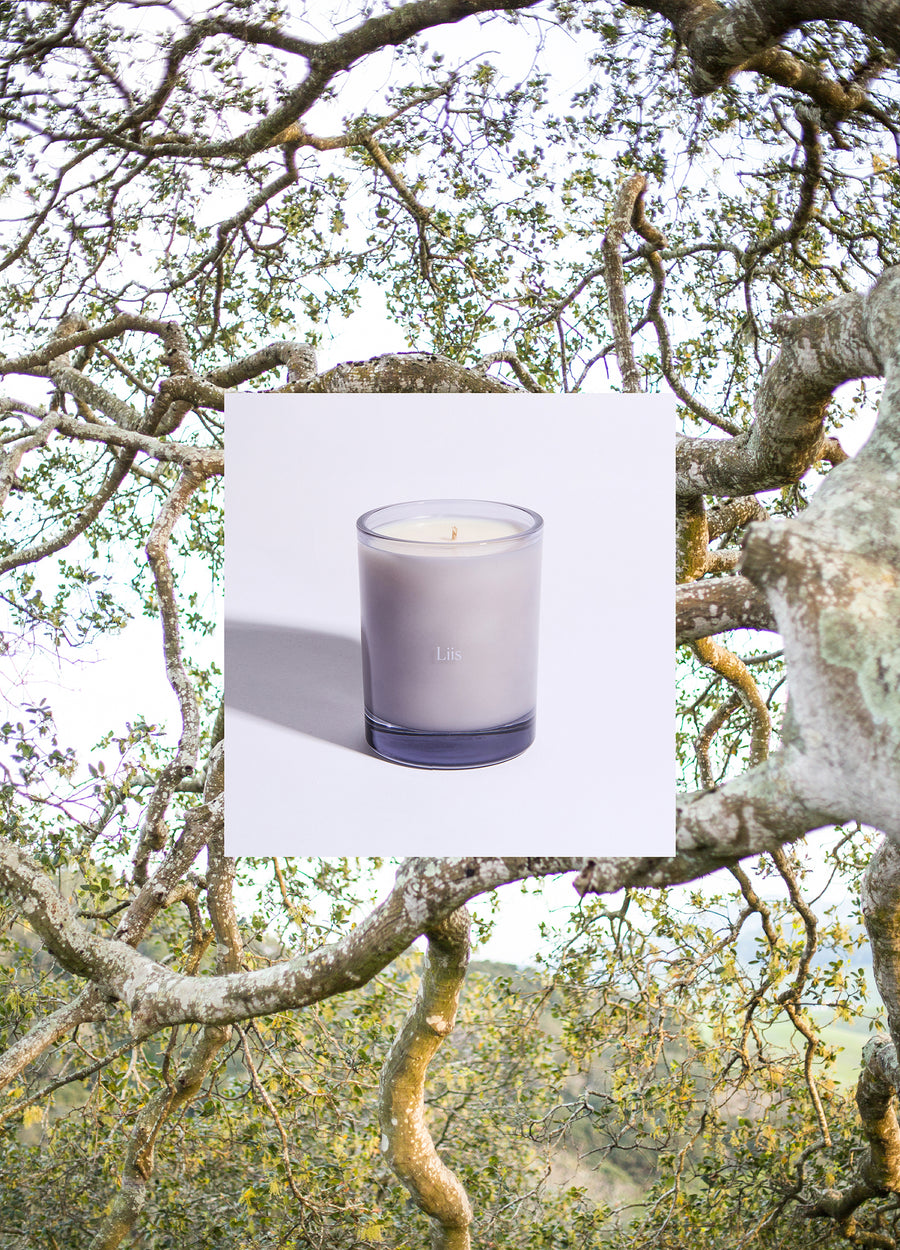 Liis — Reyes Perfumed Candle